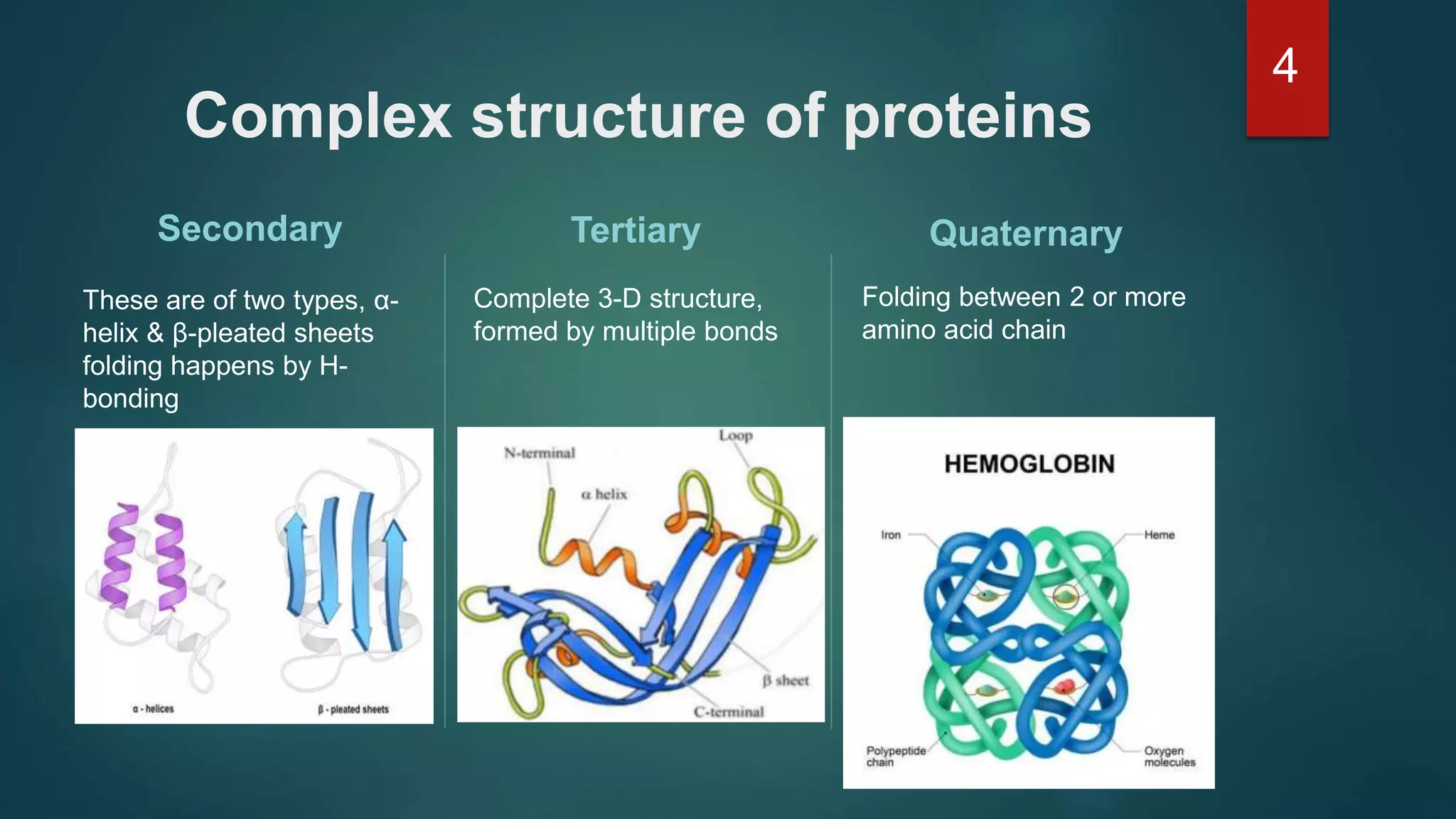Protein Denaturation & Protein Purification | PPTX