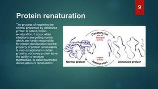 Protein Denaturation & Protein Purification | PPTX