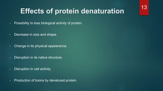 Protein Denaturation & Protein Purification | PPTX