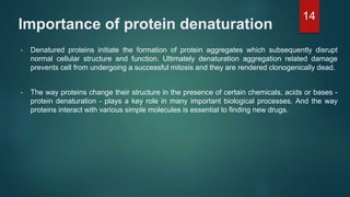 Protein Denaturation & Protein Purification | PPTX