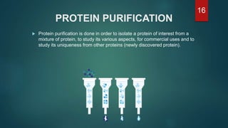 Protein Denaturation & Protein Purification | PPTX