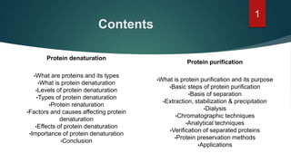 Protein Denaturation & Protein Purification | PPTX