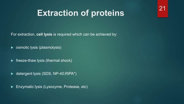 Protein Denaturation & Protein Purification | PPTX
