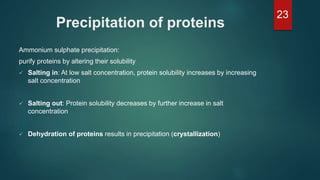Protein Denaturation & Protein Purification | PPTX