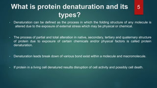 Protein Denaturation & Protein Purification | PPTX