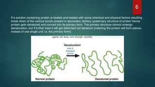 Protein Denaturation & Protein Purification | PPTX