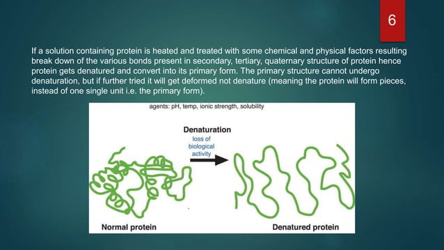 Protein Denaturation & Protein Purification | PPTX