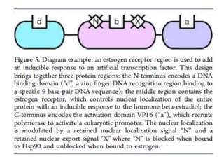 protein design, principles and examples.pptx
