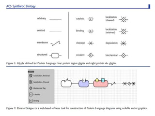 protein design, principles and examples.pptx