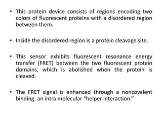 protein design, principles and examples.pptx