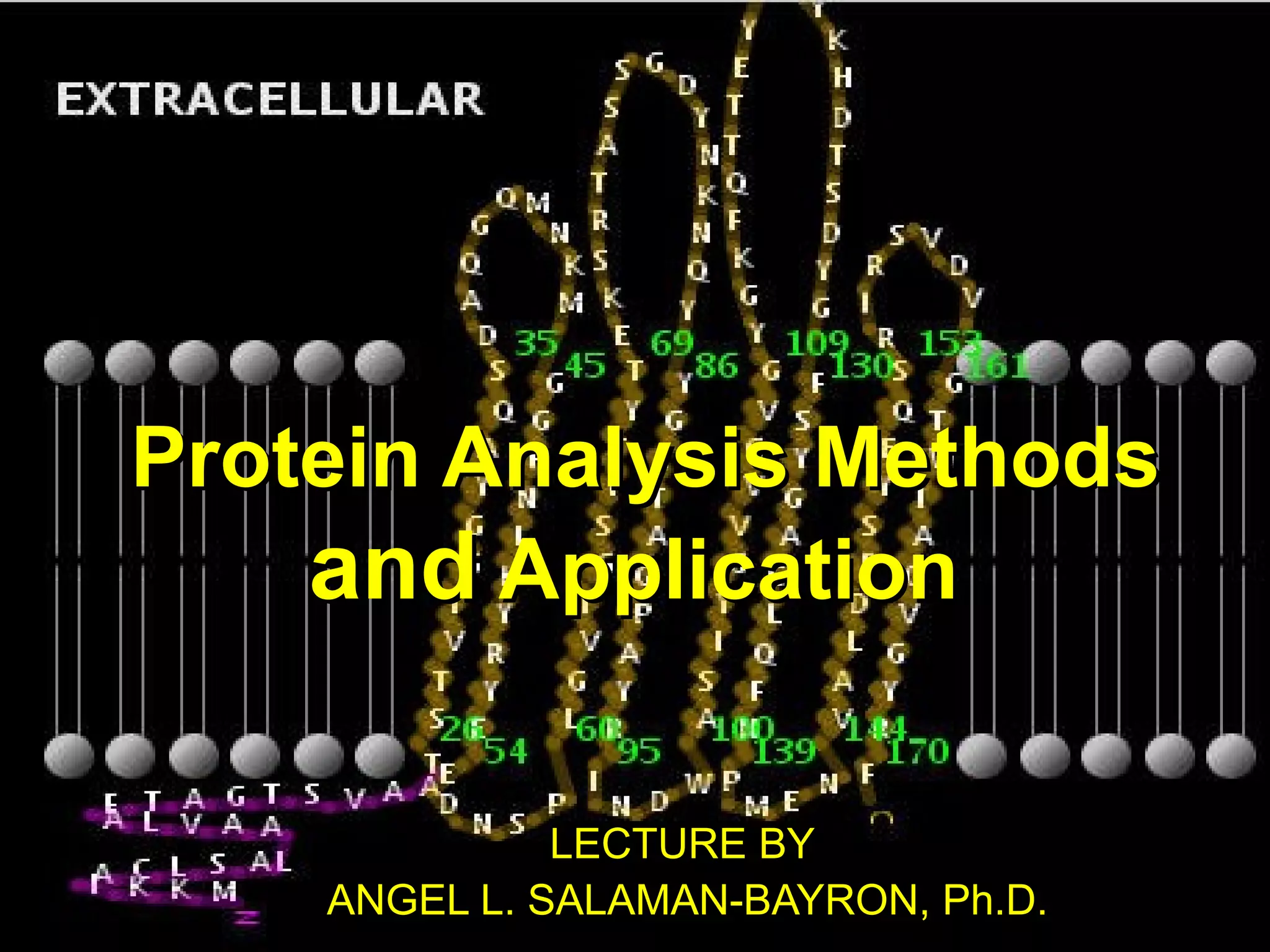 Protein Detection Methods And Application Ppt Chemistry Science
