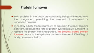 Protein digestion and absorbtiogfhfghhgn.pdf