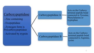 Protein digestion and absorption | PPTX