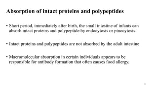 Protein digestion and absorption | PPTX