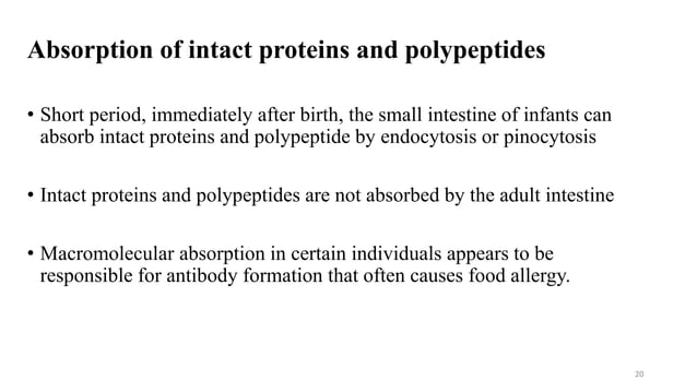 Protein digestion and absorption | PPTX | Digestive Disorders ...