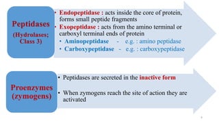 Protein digestion and absorption | PPTX