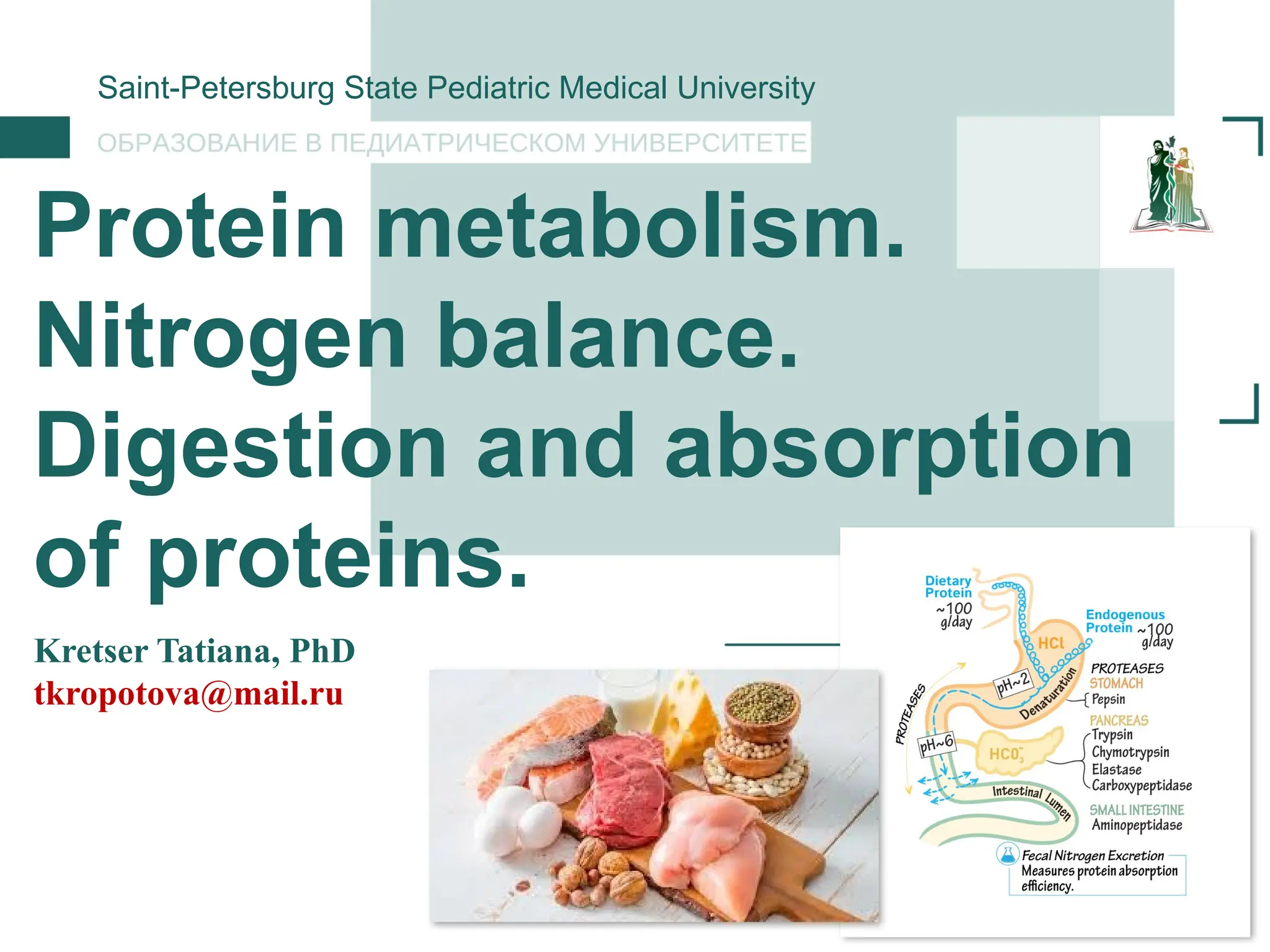 Protein digestion and absorption biochemistry.pptx