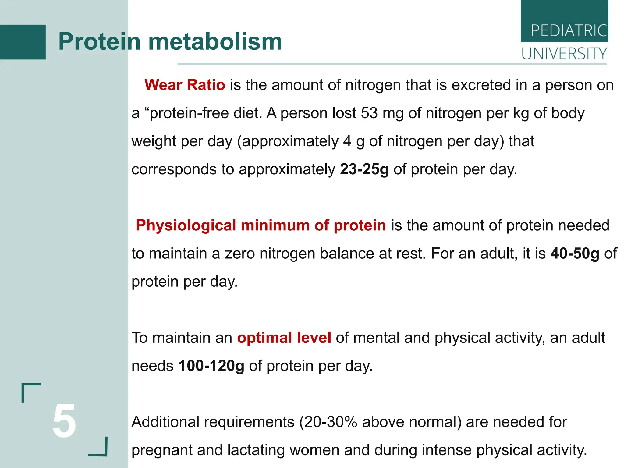 Protein digestion and absorption biochemistry.pptx