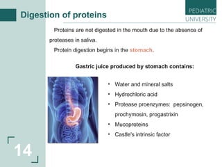 Protein digestion and absorption biochemistry.pptx