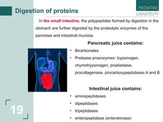 Protein digestion and absorption biochemistry.pptx