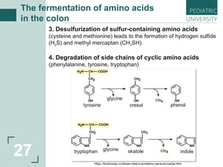 Protein digestion and absorption biochemistry.pptx