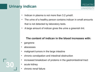 Protein digestion and absorption biochemistry.pptx