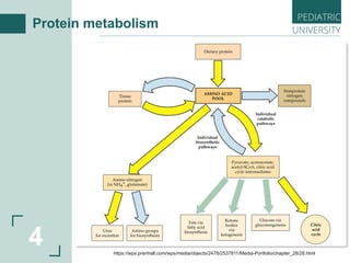 Protein digestion and absorption biochemistry.pptx