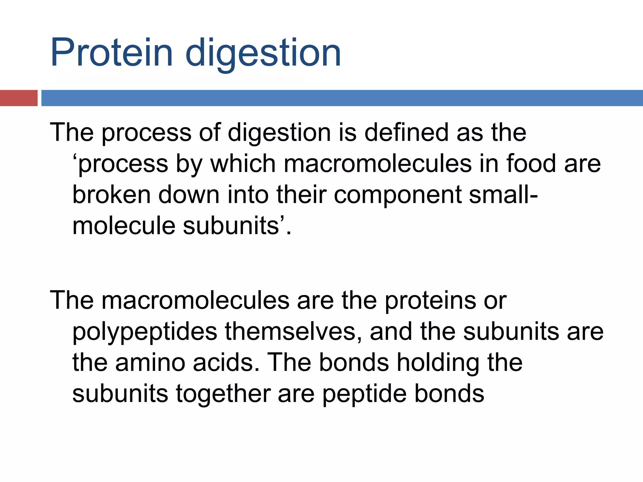 Protein digestion | PPTX