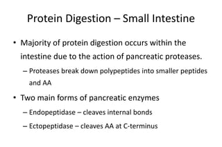 Protein_Digestion_NASPGHAN.pdf