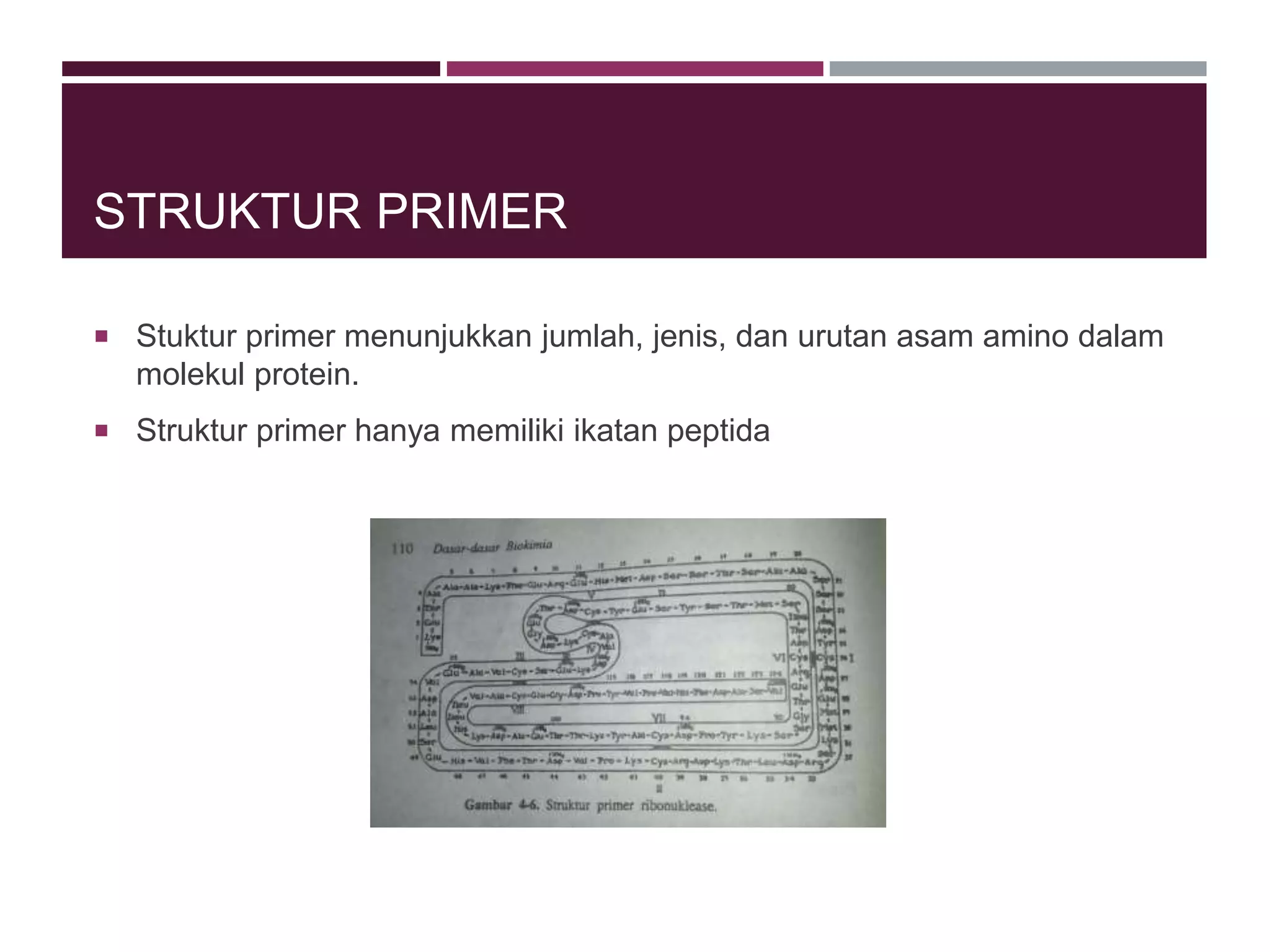PROTEIN | PPTX