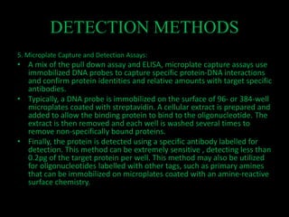 Protein – DNA interactions, an overview | PPTX