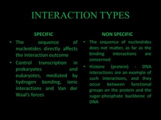 Protein – DNA interactions, an overview | PPTX