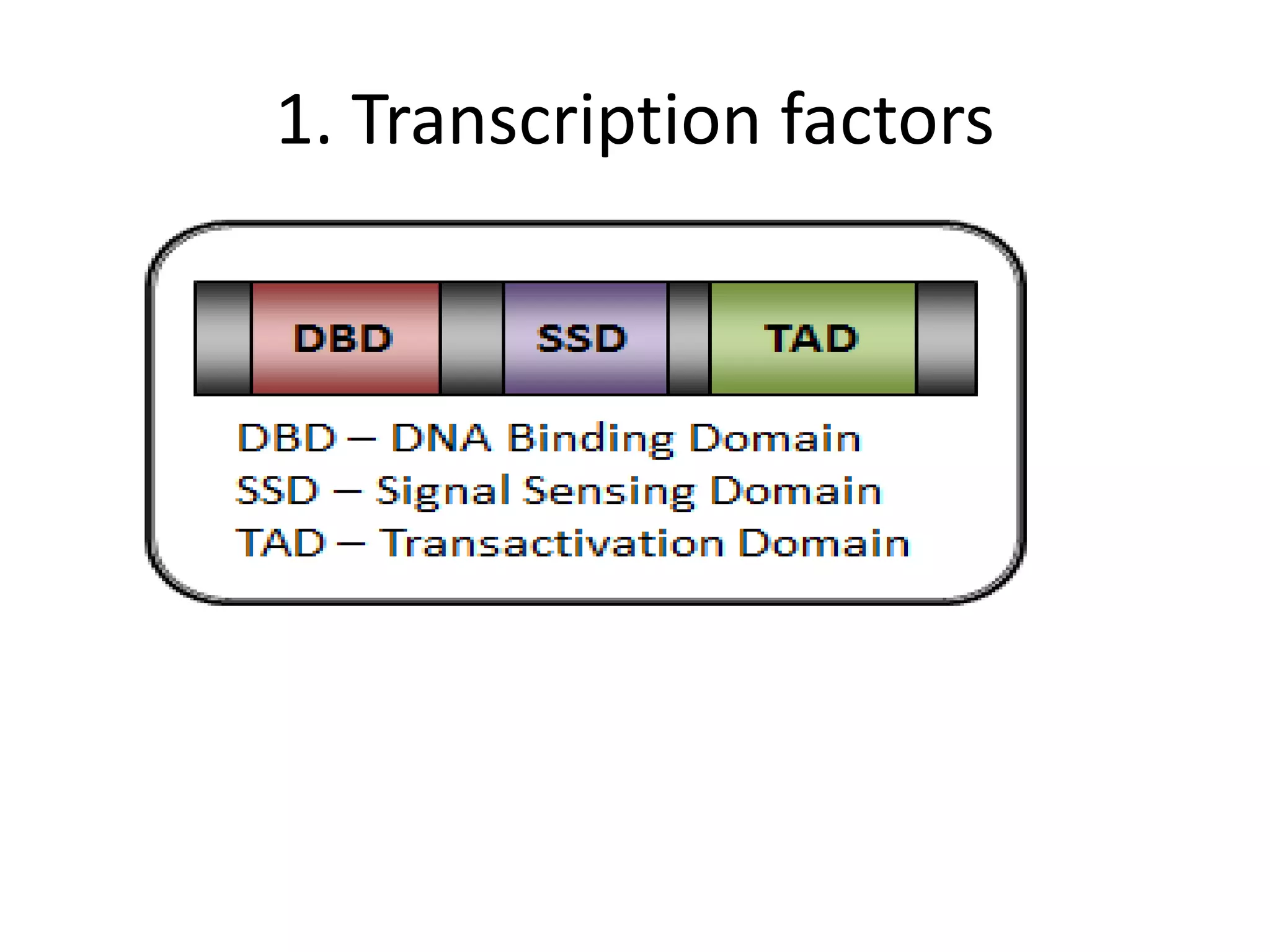 Protein dna interactions | PPTX