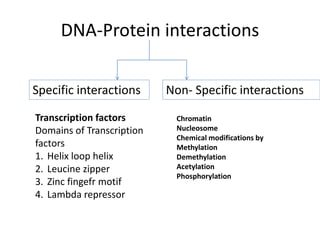 Protein dna interactions | PPTX