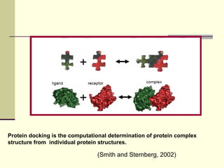 Protein Docking