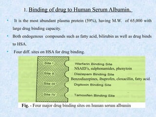 Protein drug binding.ppt