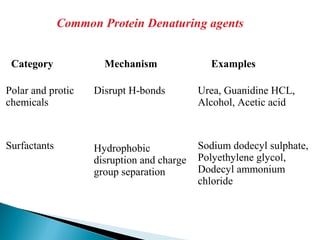 Protein drug delivery systems2 | PPT