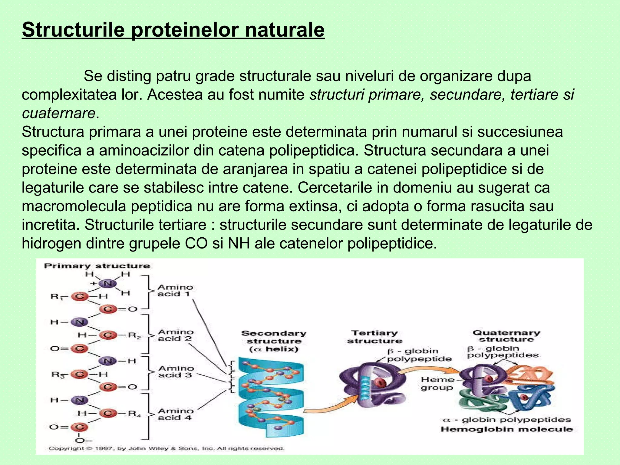 proiect11B_decudaniela | PPT