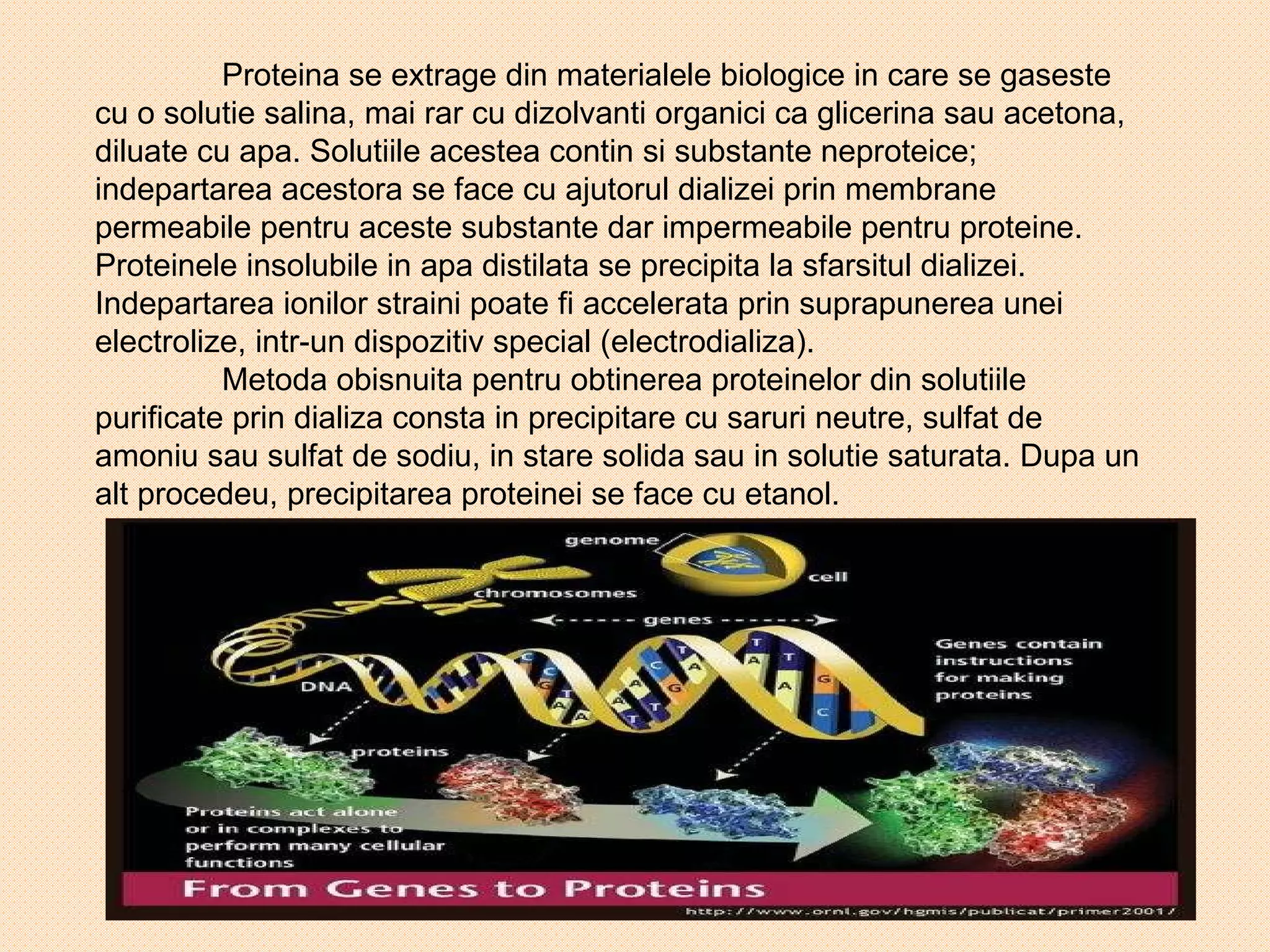 proiect11B_decudaniela | PPT