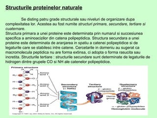 proiect11B_decudaniela | PPT