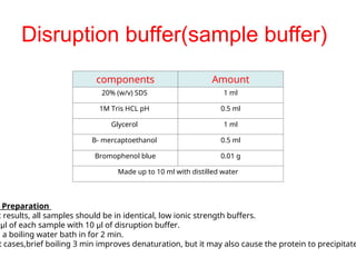 protein_electrophoresis.ppt77777777777777777777 | PPT