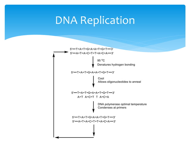 Protein engineering | PPT