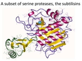 Protein engineering | PPTX