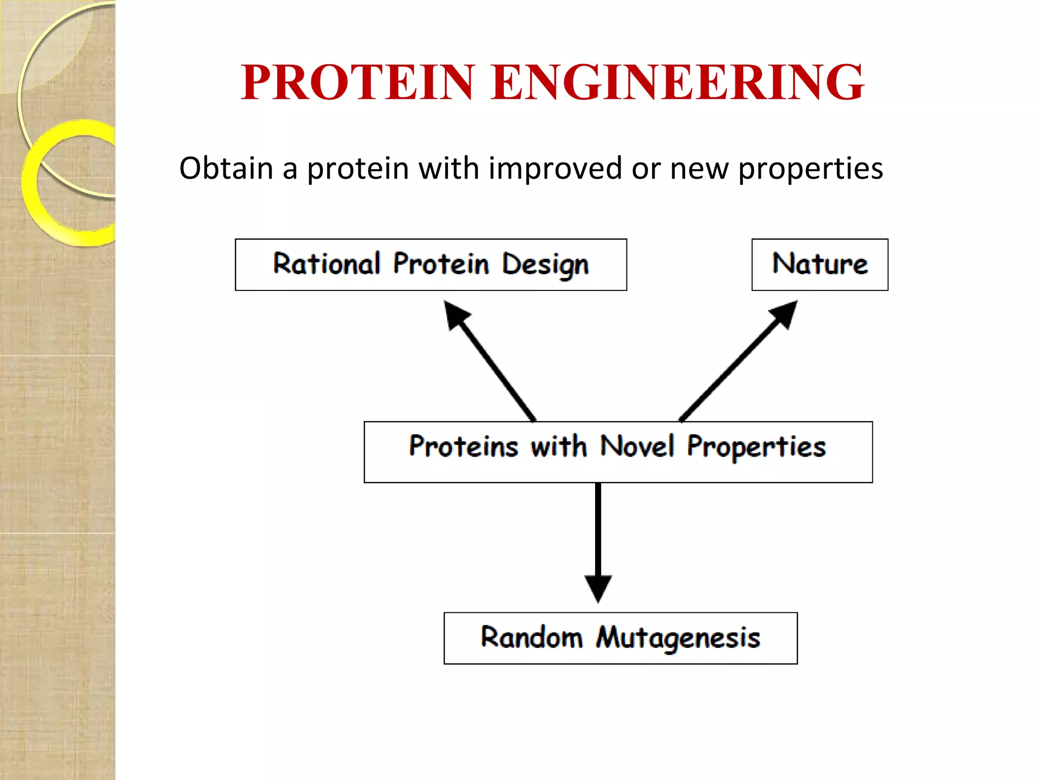 Protein engineering | PPTX