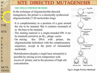Protein engineering | PPTX