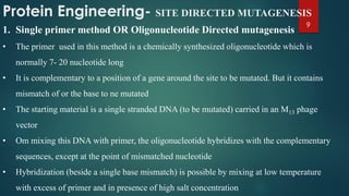 Protein engineering | PDF