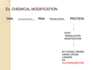 Protein Engineering.pptx