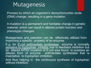 Protein Engineering.pptx Biotechnology class | PPTX