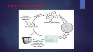 Protein Engineering - Ashvini.pptx