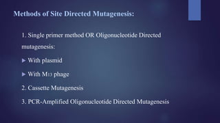 Protein Engineering - Ashvini.pptx